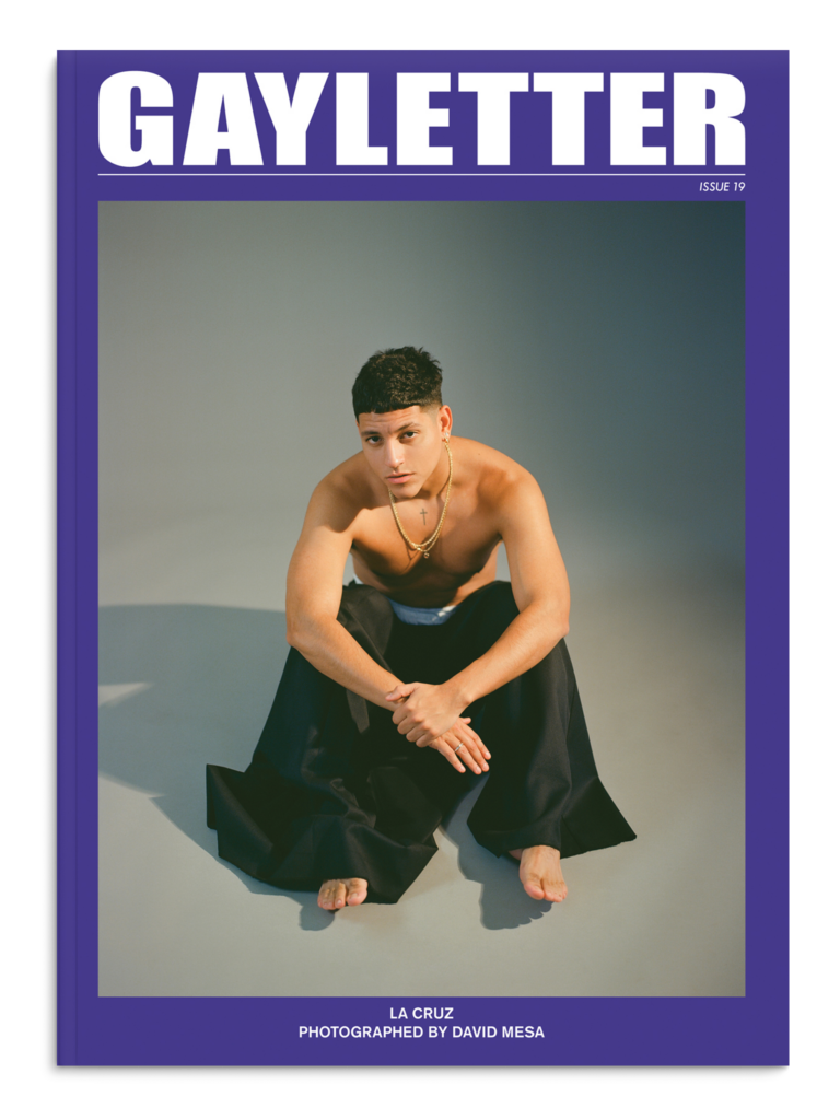 GAYLETTER issue 19 (La Cruz) - GAYLETTER Shop